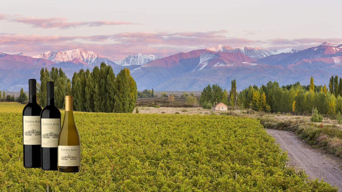 Raleigh – Foxcroft Food & Wine